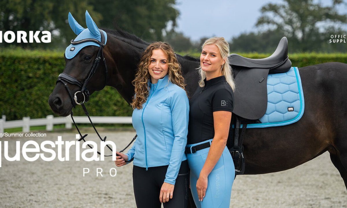 Stal van Brenk - editie 1 2025