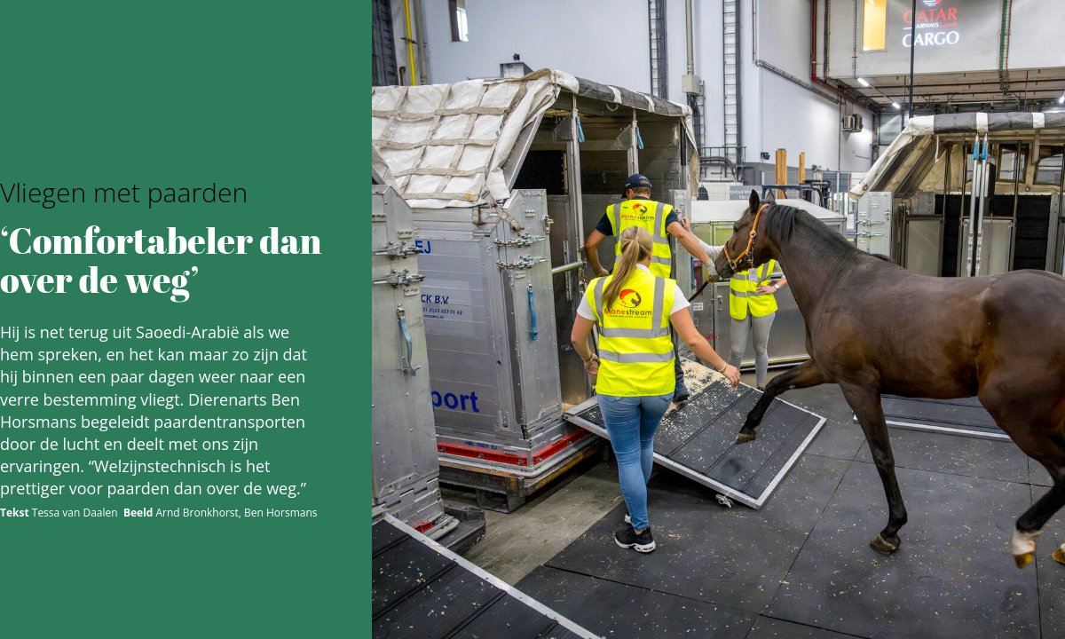 Stal van Brenk - editie 1 2025