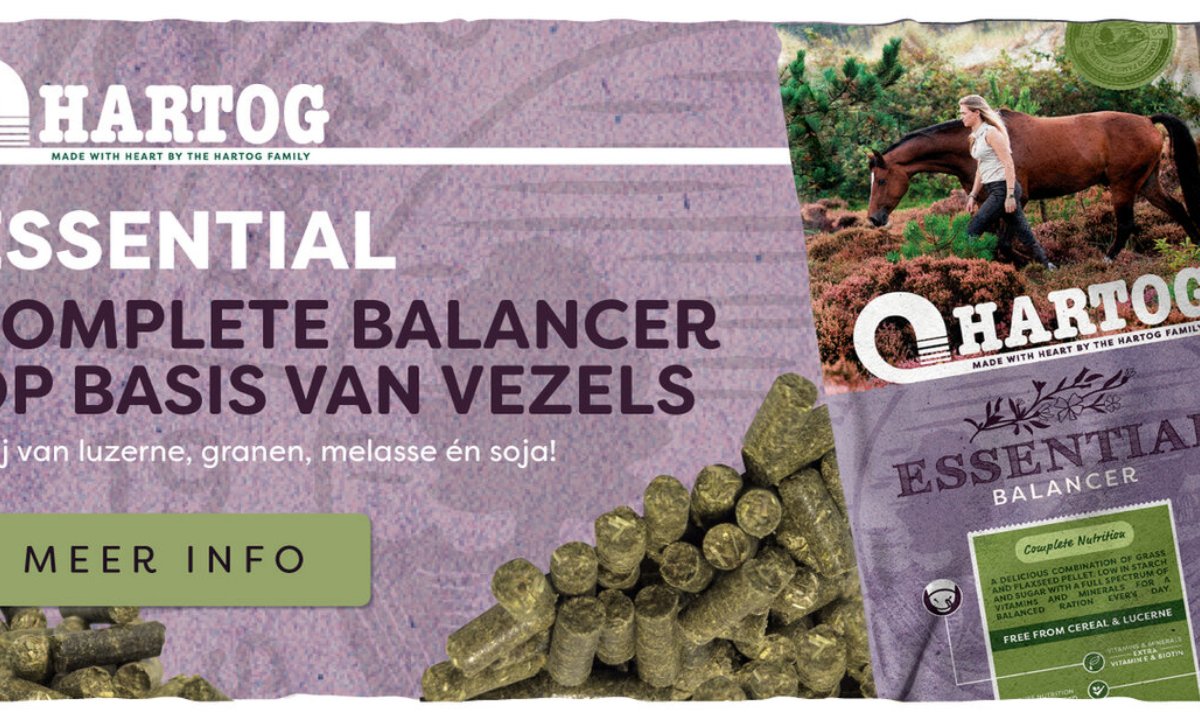 Hartog - editie 2 2024