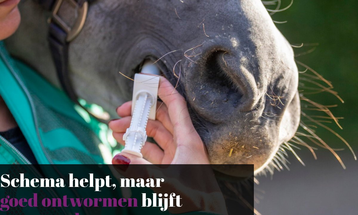 Inhoud - editie 3 2024